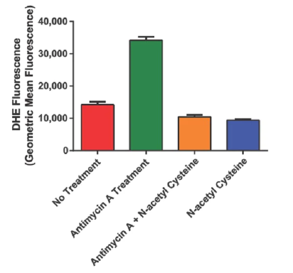 DHE (Dihydroethidium) Assay Kit - Reactive Oxygen Species ab236206 | Abcam