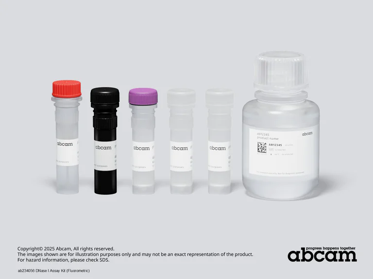 DNase I检测试剂盒 (Fluorometric) (ab234056)| Abcam中文官网