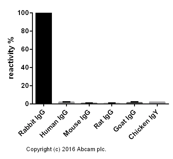 Donkey Anti-Rabbit IgG (Alexa Fluor® 555) secondary antibody (ab150074 ...