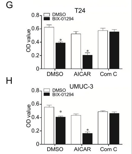 Dorsomorphin (Compound C), AMP-kinase inhibitor (ab120843) | Abcam