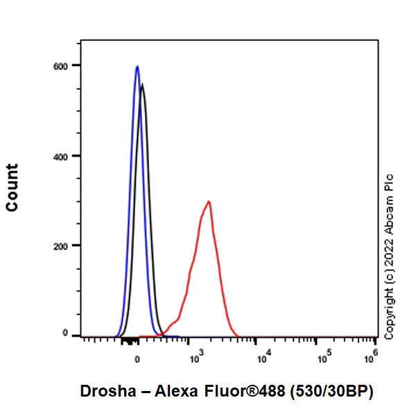 Anti-Drosha antibody [EPR25336-93] (ab303544) | Abcam
