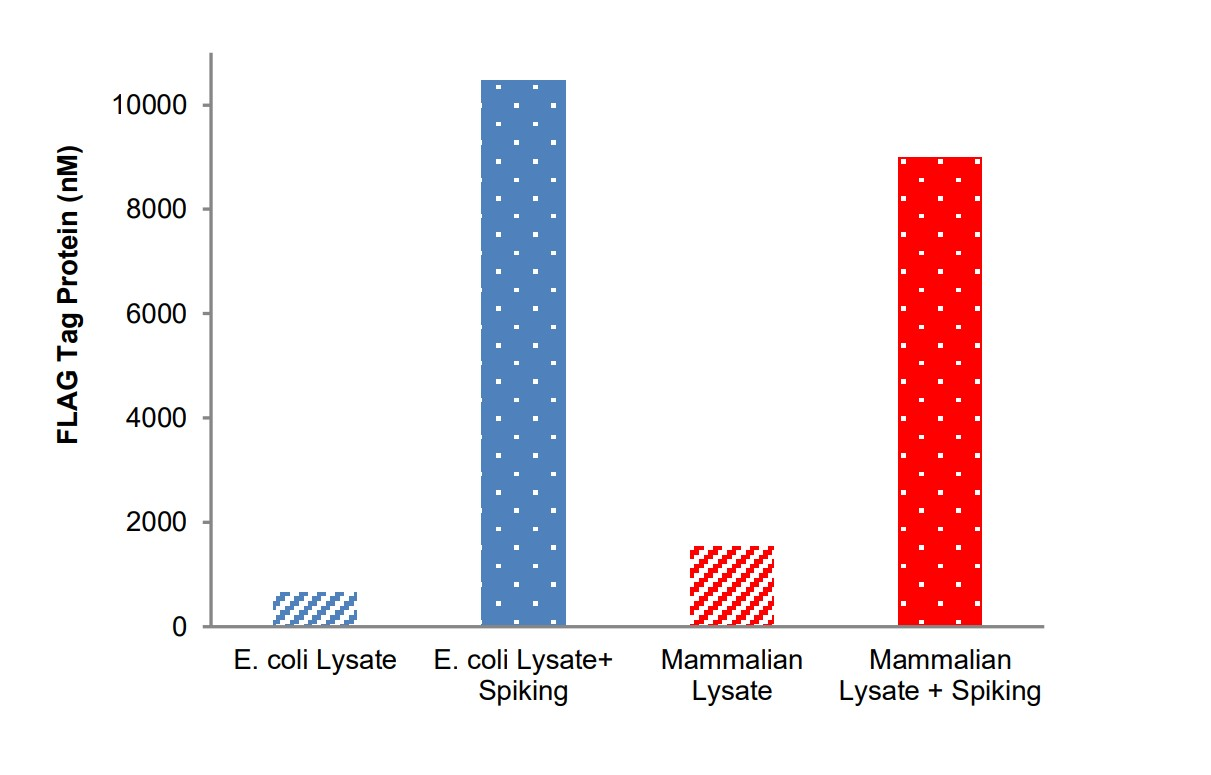 DYKDDDDK-Tag Protein ELISA Kit (ab285234) | Abcam