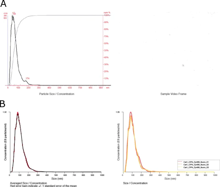 DyLight® 488 Conjugation kit | Easy DyLight® 488 Labelling (ab201799 ...