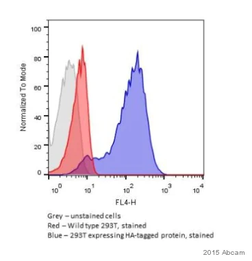 DyLight® 650 Anti-HA tag 抗体 [16B12] (ab117515) | Abcam