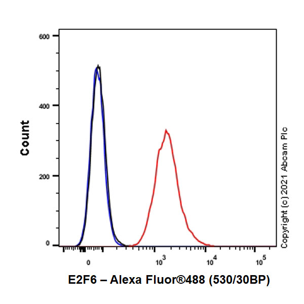 Anti-E2F6 antibody [EPR25340-17] (ab289963) | Abcam