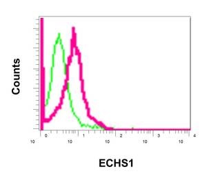 Anti-ECHS1 antibody [EPR11784(B)] (ab170108) | Abcam