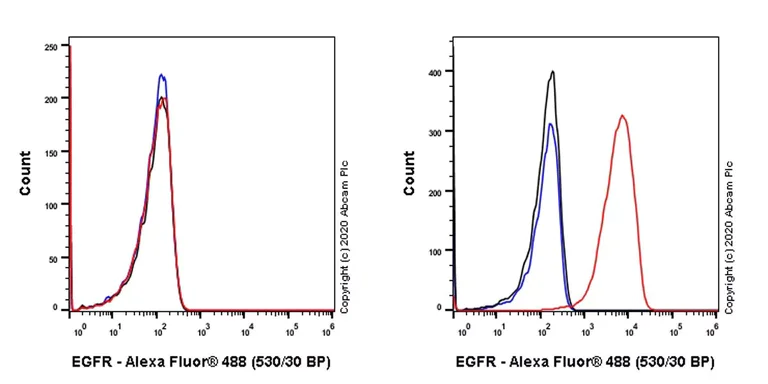 Anti-EGFR antibody [31G7] - BSA and Azide free (ab212335) | Abcam
