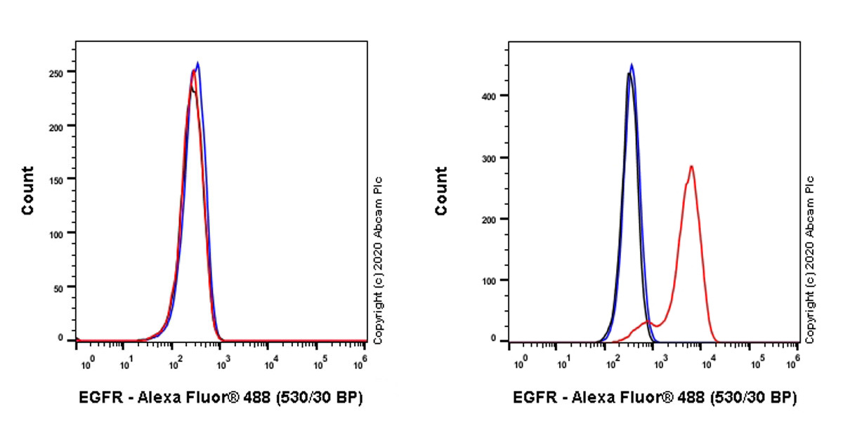 Anti-EGFR antibody [EMab-134] - BSA and Azide free (ab264547) | Abcam