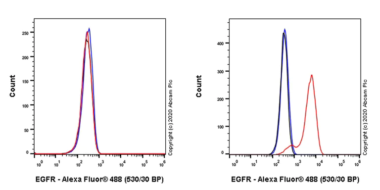 EGFR抗体[EMab-134] - BSA and Azide free (ab264547)| Abcam中文官网