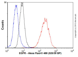 Anti-EGFR antibody [EPR39Y] - BSA and Azide free (ab239877) | Abcam