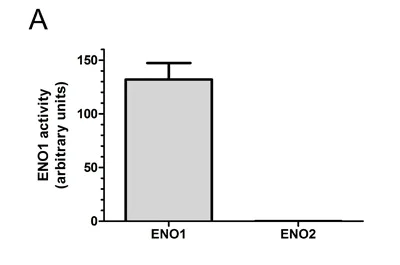 ENO1检测试剂盒 (alpha Enolase, Human) (ab117994)| Abcam中文官网