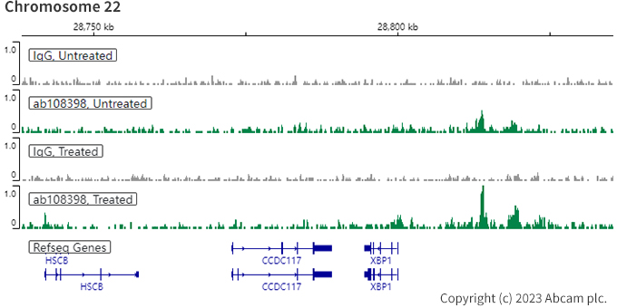 Anti-Estrogen Receptor alpha antibody [EPR4097] (ab108398) | Abcam