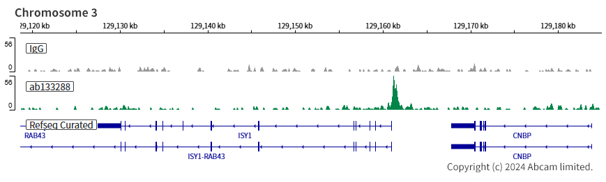 Anti-EWSR1/EWS antibody [EPR4647] Rabbit monoclonal (ab133288) | Abcam