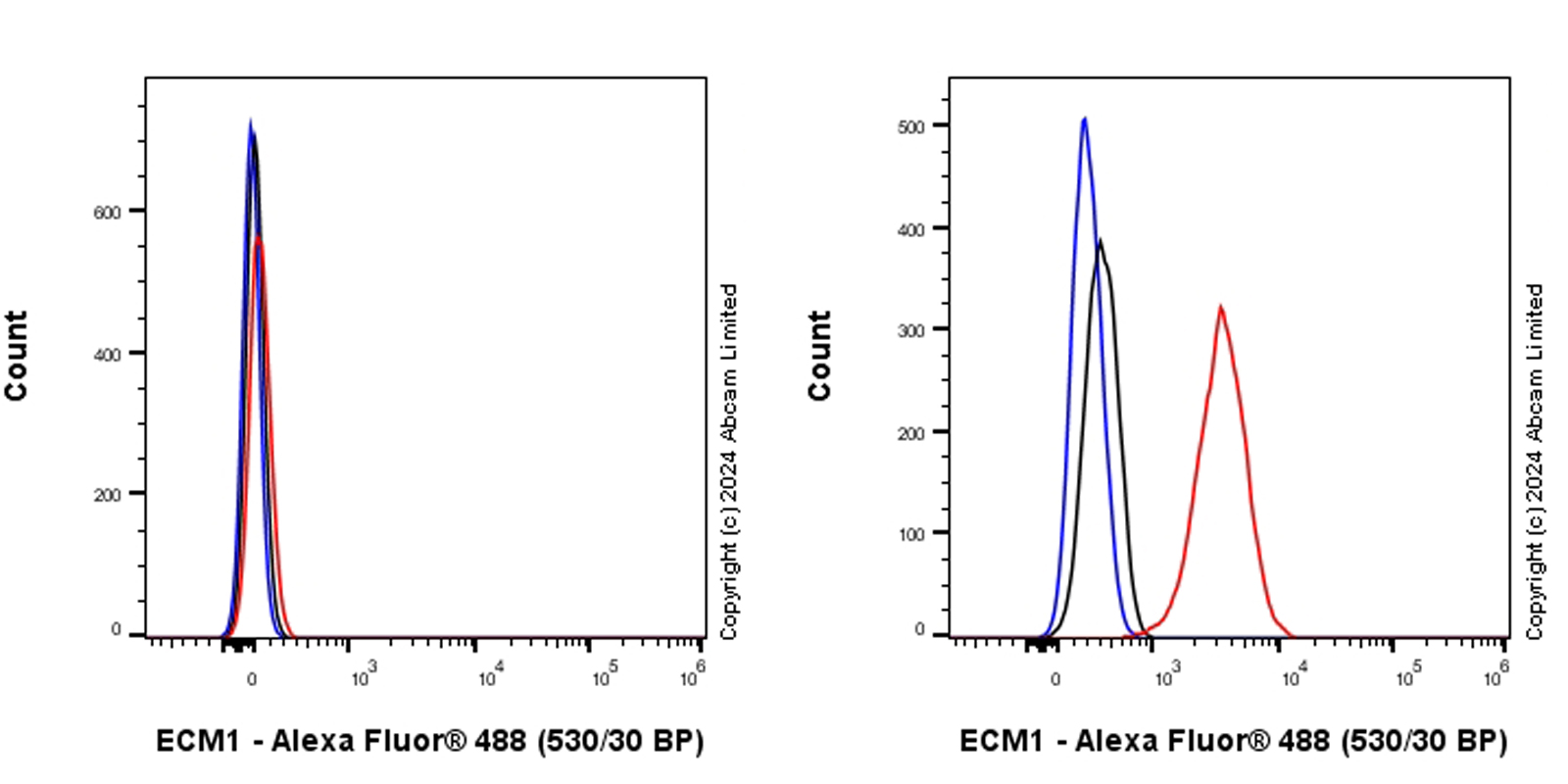 Anti-Extracellular matrix protein 1 antibody [RM1187] - BSA and Azide ...