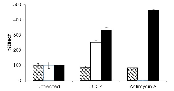 Extracellular Oxygen Consumption Assay (ab197243) | Abcam