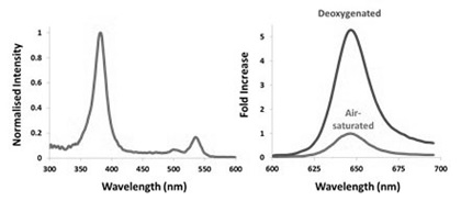 Extracellular Oxygen Consumption Assay (ab197243) | Abcam
