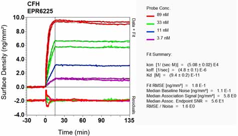 Anti-Factor H antibody [EPR6225] (ab133536) | Abcam