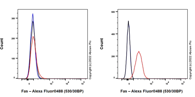 Anti-Fas antibody [EPR27359-51] - BSA and Azide free (ab307592) | Abcam