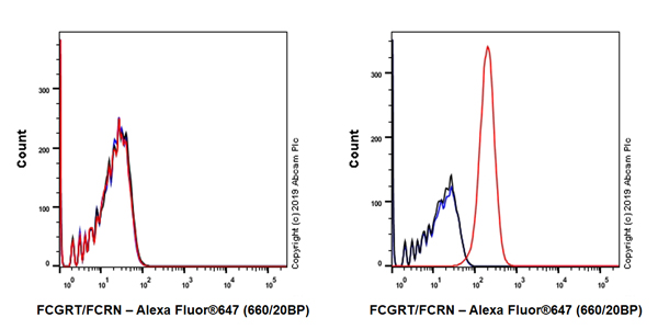 FCGRT/FCRN抗体- Extracellular domain (ab193148)| Abcam中文官网