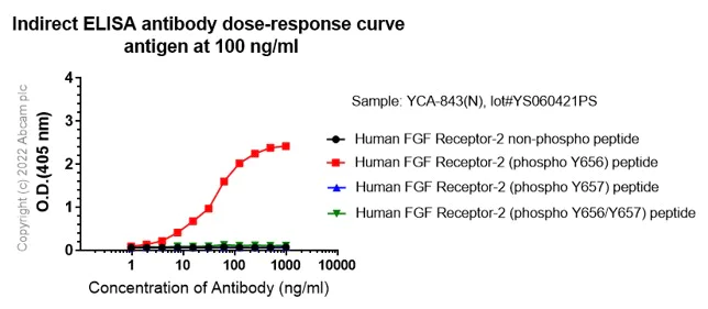 Anti-FGFR1 (phospho Y653) antibody [EPR843(N)] - BSA and Azide free ...
