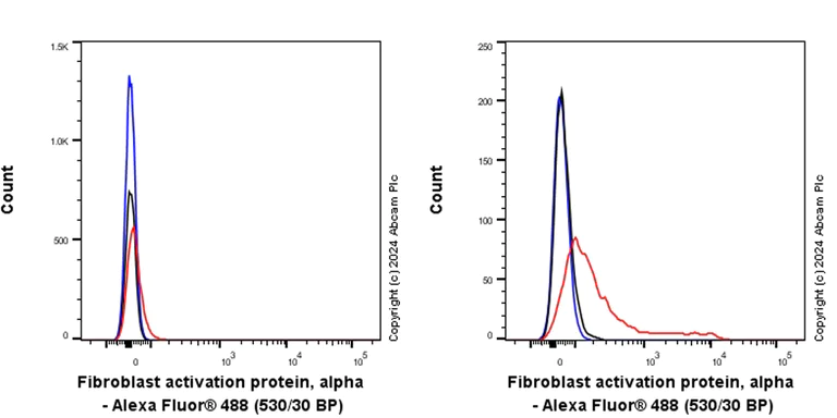 Fibroblast activation protein, alpha抗体[EPR27358-9] (ab317555)| Abcam中文官网