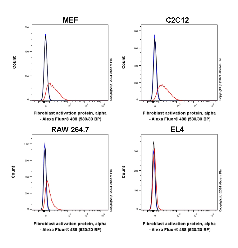 Anti-Fibroblast activation protein, alpha antibody [EPR27358-9 ...