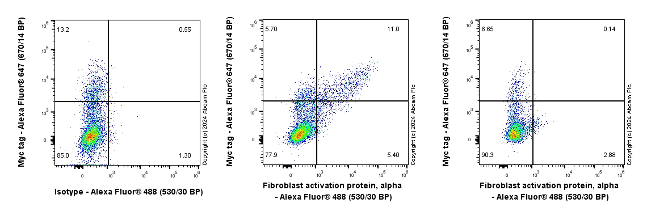 Anti-Fibroblast activation protein, alpha antibody [EPR27358-9] - BSA ...
