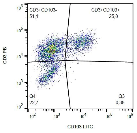 FITC Anti-CD103 antibody [Ber-ACT8] (ab239247) | Abcam