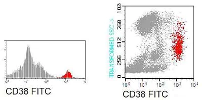 Anti-CD38 FITC antibody [GR7A4] (ab90877) Mouse monoclonal IgG1 | Abcam