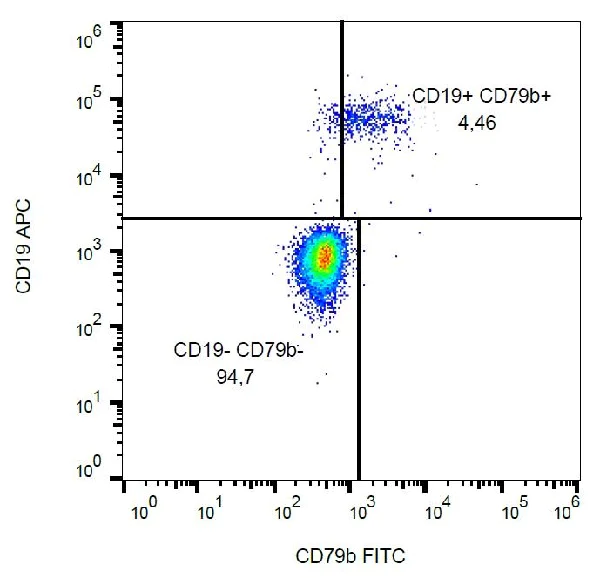 Anti-CD79b FITC antibody [CB3-1] (ab239249) Mouse monoclonal IgG1 | Abcam