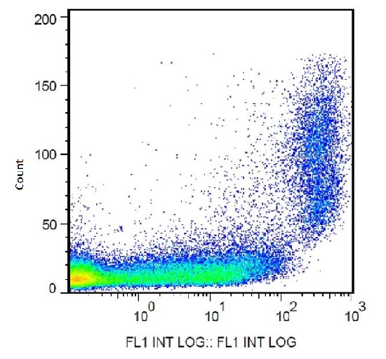 Anti-CD9 antibody - monocyte marker (ab223052) | Abcam