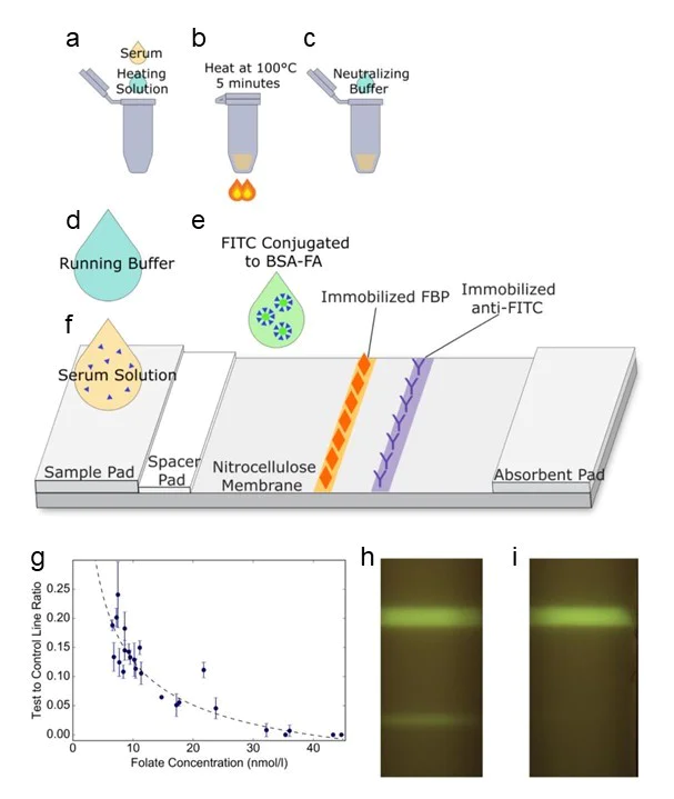 FITC Conjugation kit | Easy FITC Labelling (ab188285) | Lightning-Link ...