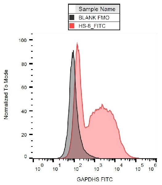 Anti-GAPDS FITC antibody [Hs-8] (ab240823) Mouse monoclonal IgM | Abcam