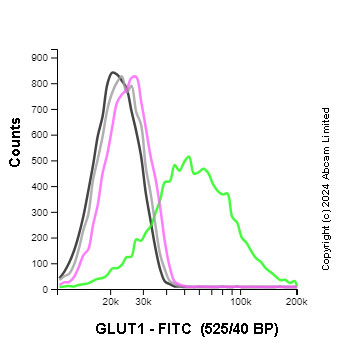 FITC Anti-Glucose Transporter GLUT1 antibody [EPR3915] KO Tested ...