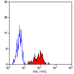 Anti-HLA A2 FITC antibody [BB7.2] (ab27728) Mouse monoclonal IgG2b | Abcam