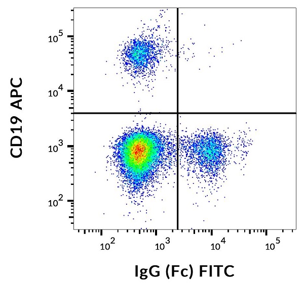 FITC conjugated Anti-Human IgG FC fragment antibody [EM-07] (ab239228 ...