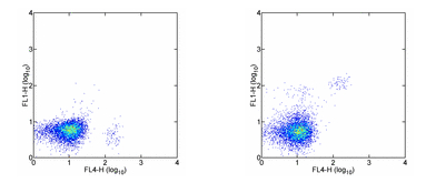 Anti-IL3RA/CD123 FITC antibody [6H6] (ab95782) IgG1 | Abcam