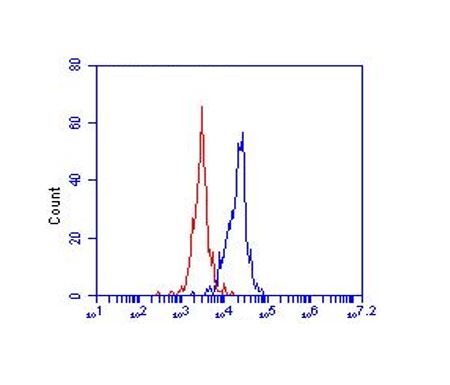 Anti-LOX 1 FITC antibody [23C11] (ab81710) Mouse monoclonal IgG1 | Abcam