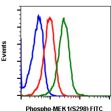 Anti-MEK1 (phospho S298) FITC antibody [MEK1S298-H8] (ab278591) Rabbit monoclonal IgG | Abcam