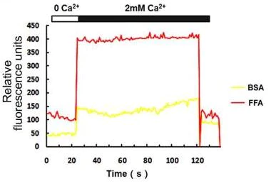 Fluo-8 AM, green fluorescent calcium binding dye (CAS 1345980-40-6 ...