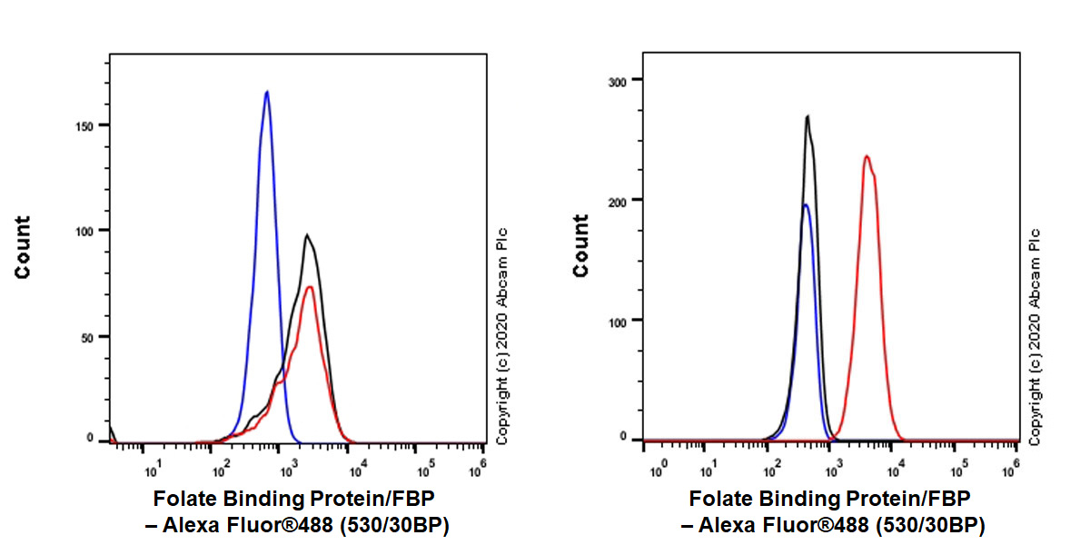 Anti-Folate Binding Protein/FBP antibody [EPR23387-276] (ab272715) | Abcam