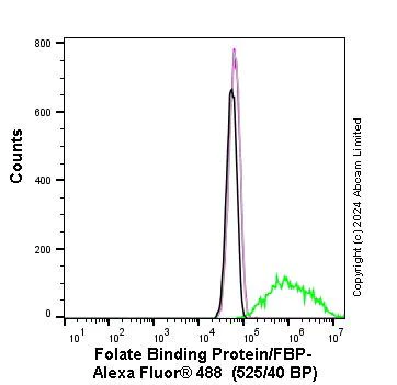 Folate Binding Protein/FBP抗体[EPR23387-276] (ab272715)| Abcam中文官网