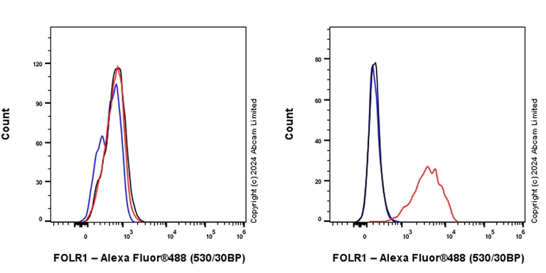 Anti-Folate Binding Protein/FBP antibody [RM1246] (ab322459) | Abcam