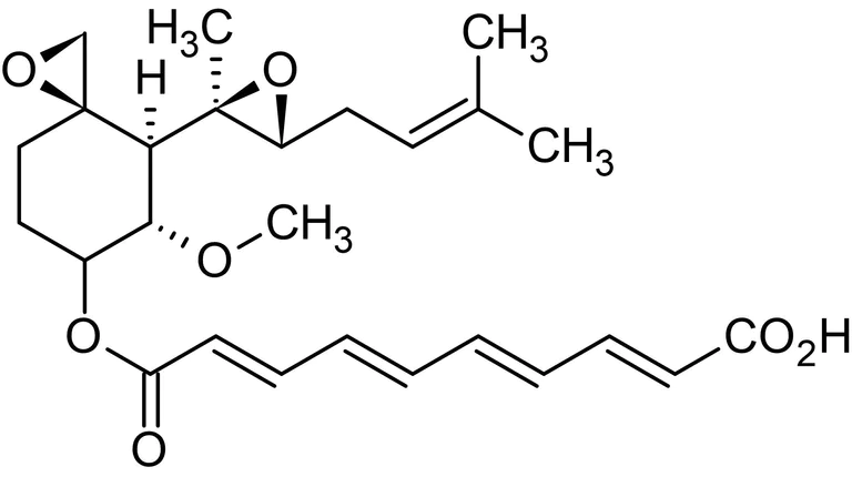 Fumagillin, methionine aminopeptidase-2 (MetAP2) inhibitor (CAS 23110 ...