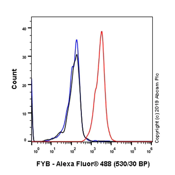 Anti-FYB antibody [EP2546Y] (ab76103) | Abcam
