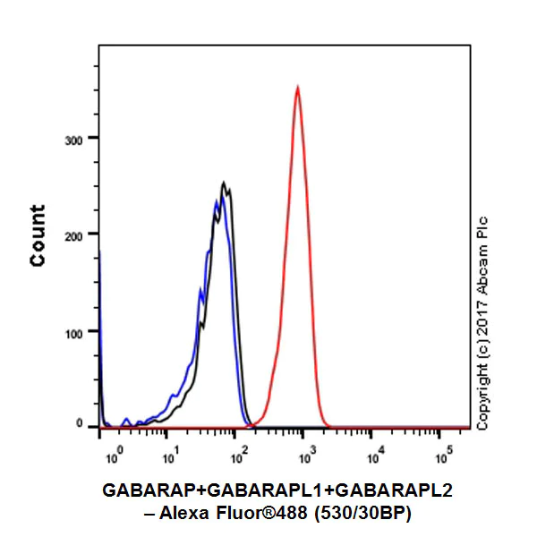 Anti-GABARAP+GABARAPL1+GABARAPL2 antibody [EPR4805] (ab109364) | Abcam