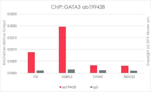 Anti-GATA3 antibody - ChIP grade [EPR16651] (ab199428) | Abcam