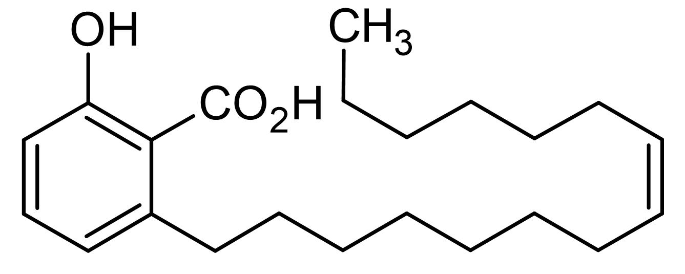 Ginkgolic acid, Naturally occurring compound (CAS 22910-60-7) (ab142629 ...