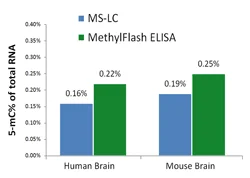 Global RNA Methylation Assay Kit (5 Methyl Cytosine, Fluorometric ...