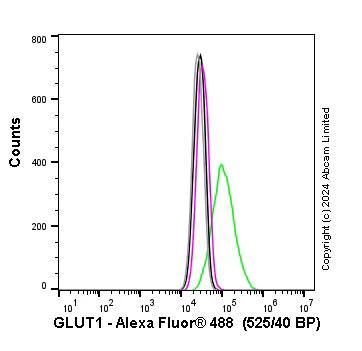 Glucose Transporter GLUT1抗体[EPR3915] - BSA and Azide free (ab252403 ...
